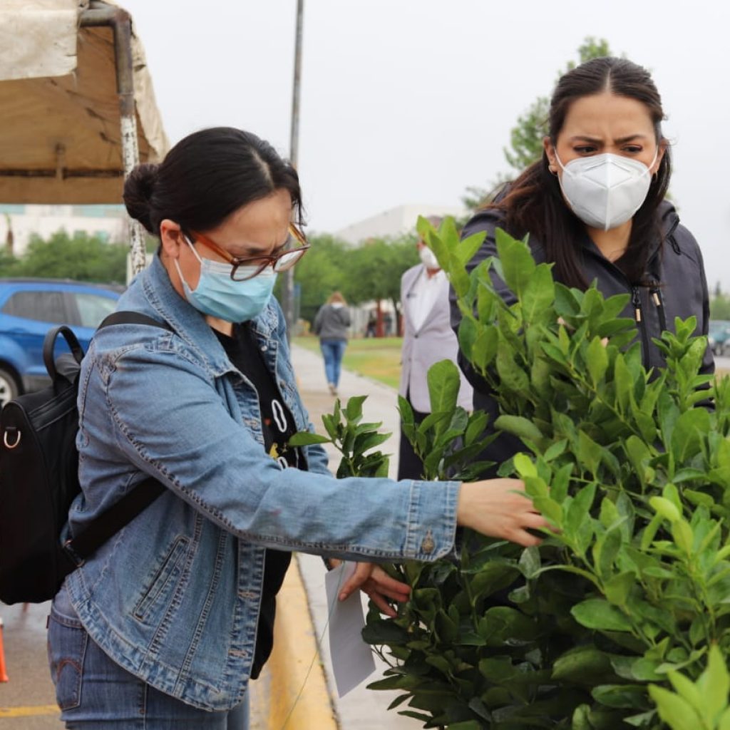 SEGUNDA ETAPA DEL PROGRAMA DE REFORESTACIÓN “UN ÁRBOL MÁS”